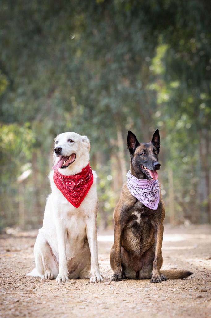 הסיפור שלנו – Boosa & co