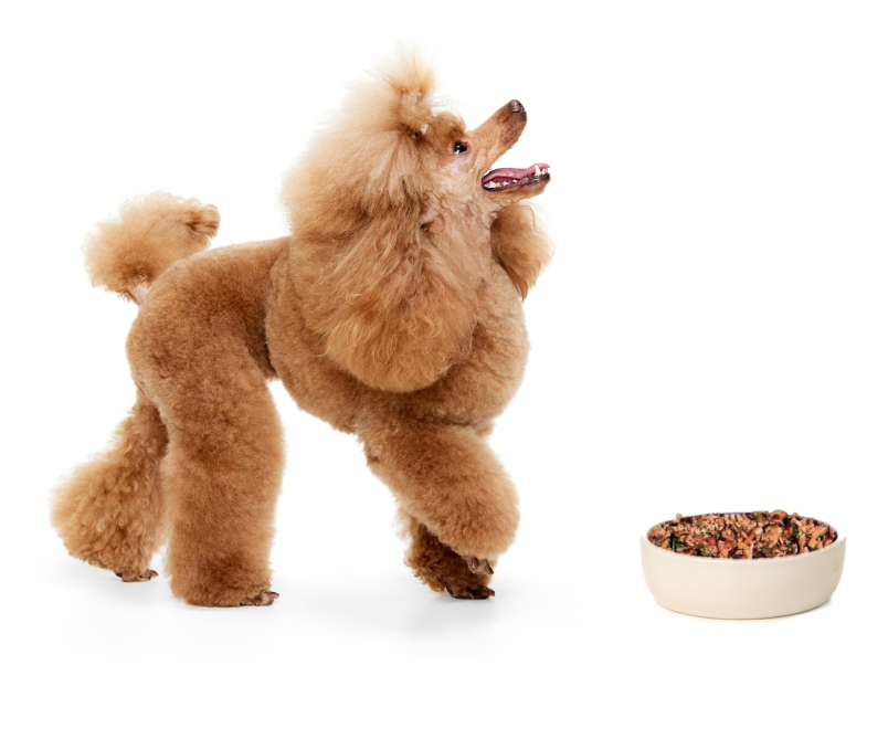 הסיפור שלנו – Boosa & co